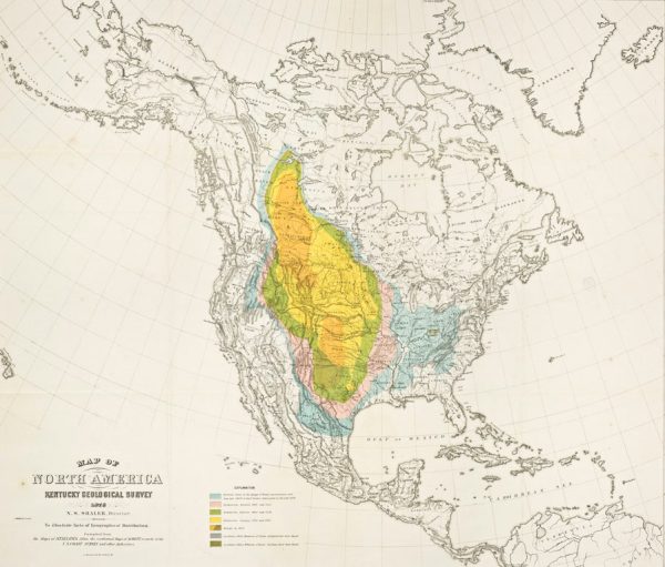 Bison Hunting | Indigenous Peoples Atlas of Canada
